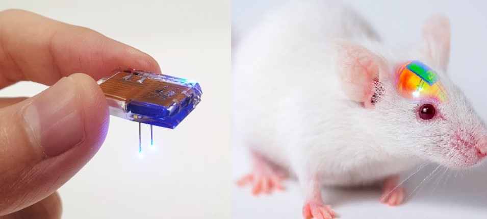 Tiny brain implant recharges from outside of body