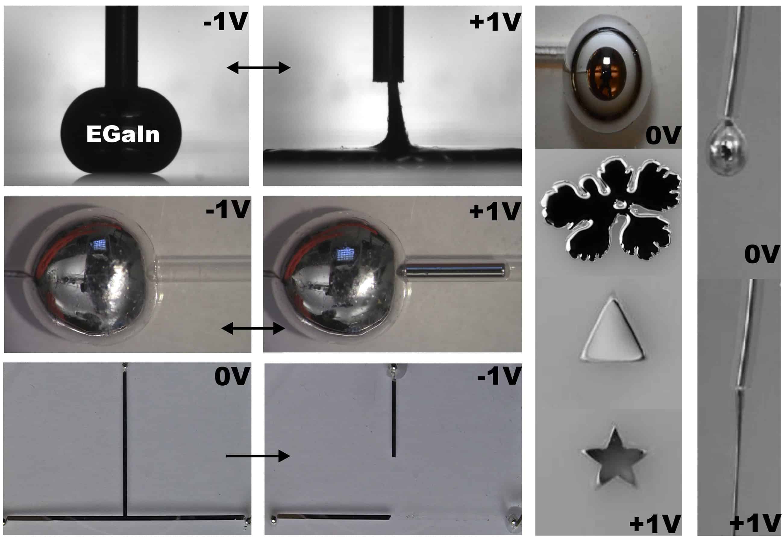 Liquid metal morphing makes shapes for robotics