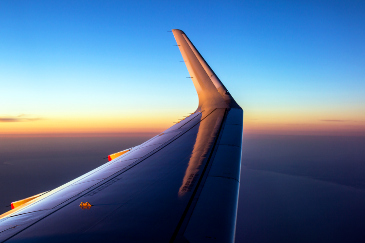 The evolution of the aircraft wing