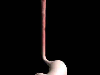 Magnet-controlled camera